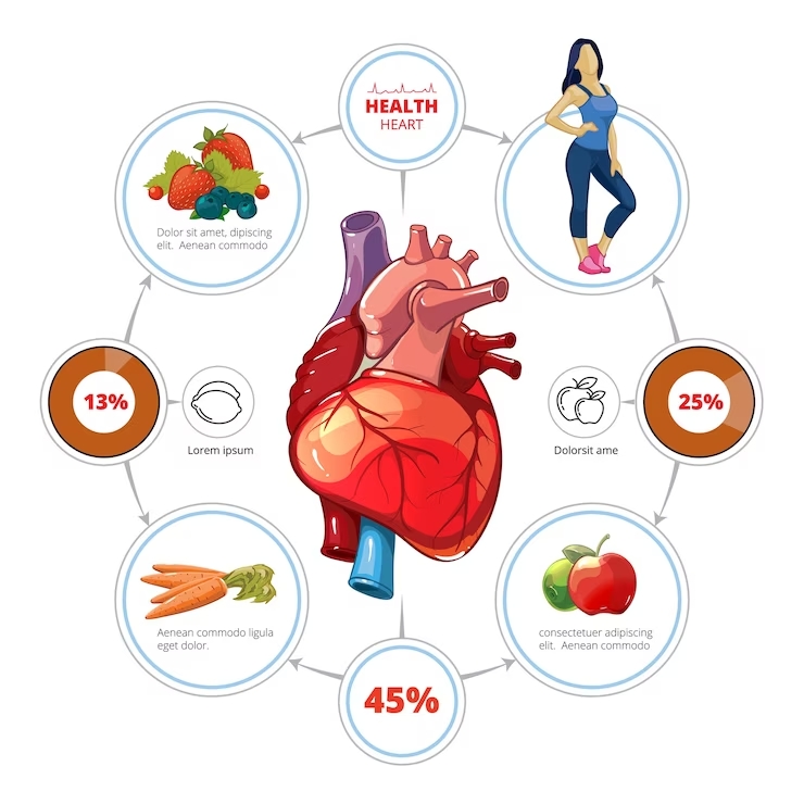 Healthy Heart Diagram